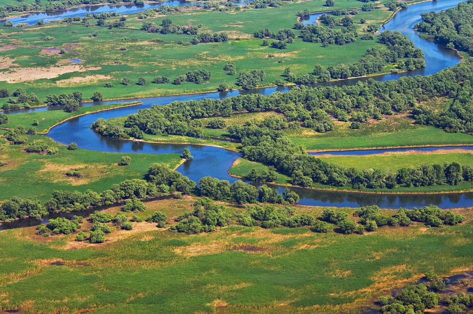 Escursioni Delta del Danubio - Delta del Danubio